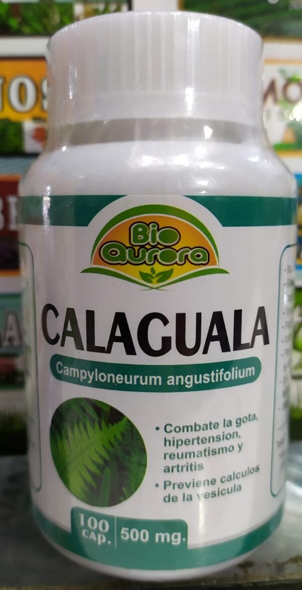 Calaguala – Dar Natury